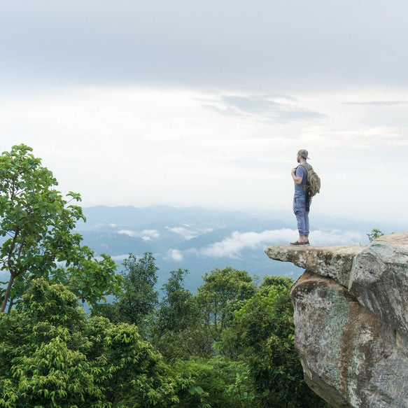 What Is Forest Bathing?
