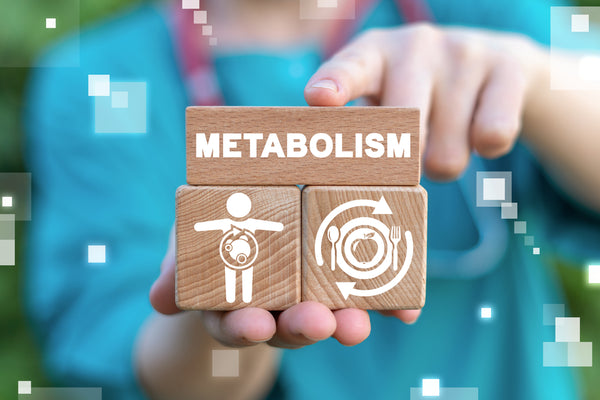Metabolic Health 101: How to Reset your Metabolism