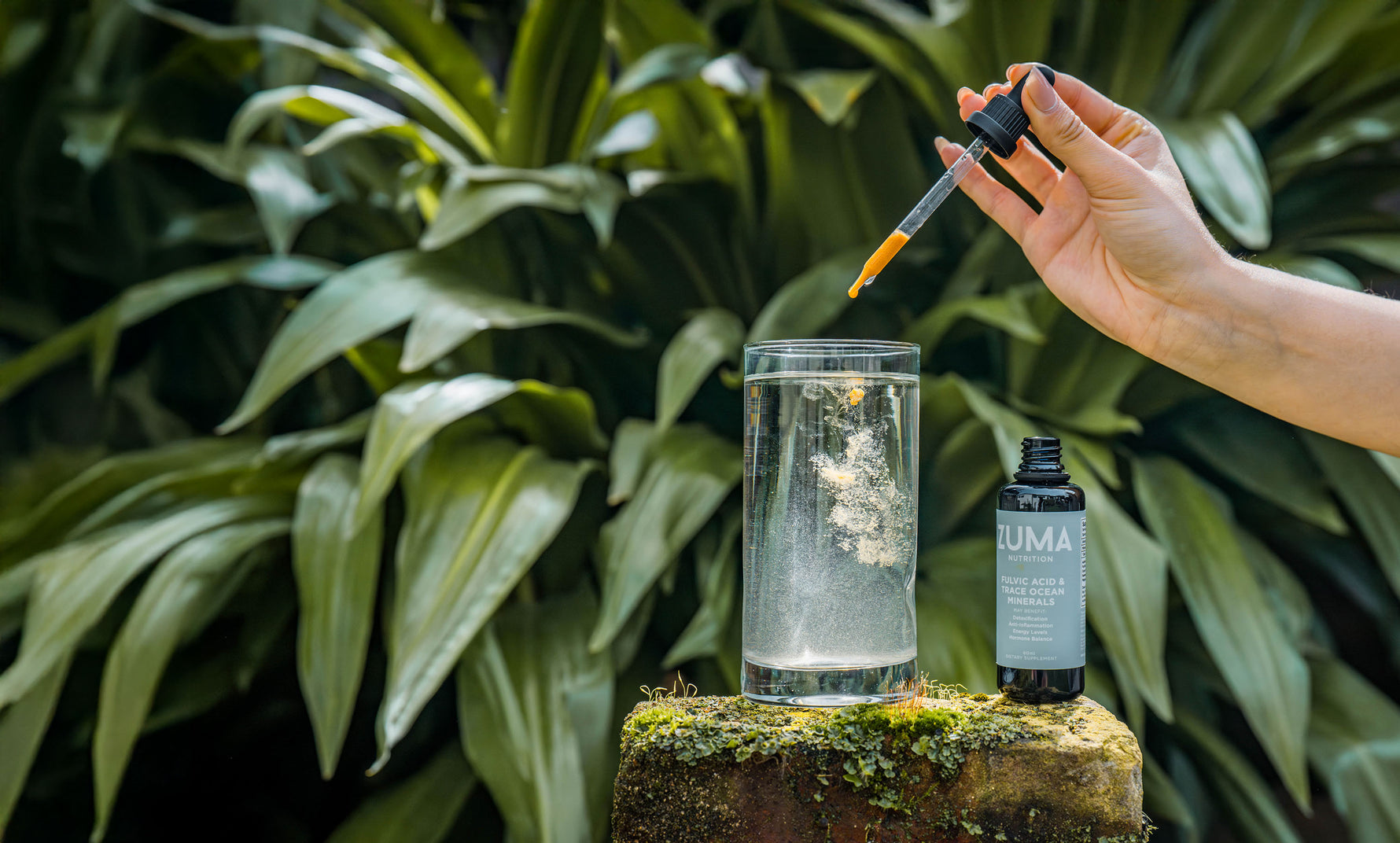 Health Supplements – Zuma Nutrition | Wellness & Non Toxic Care