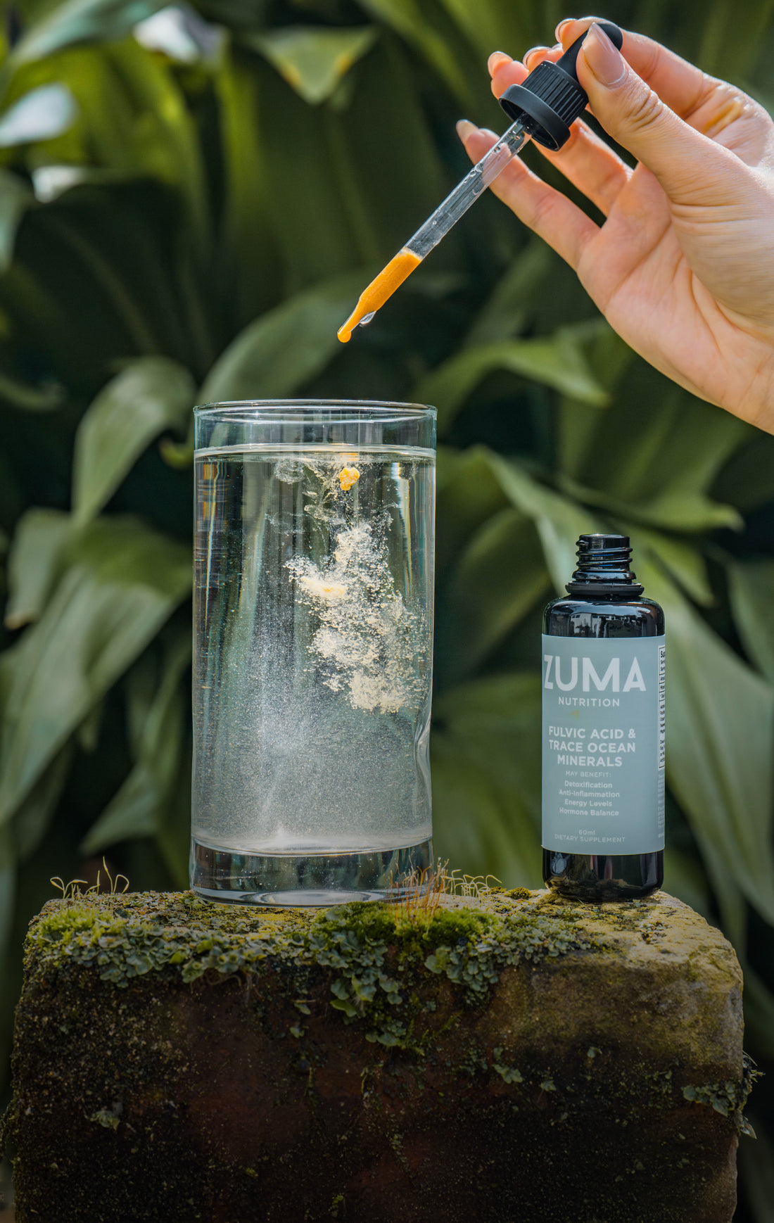 Zuma Nutrition - A Holistic Approach to Wellness and Nutrition